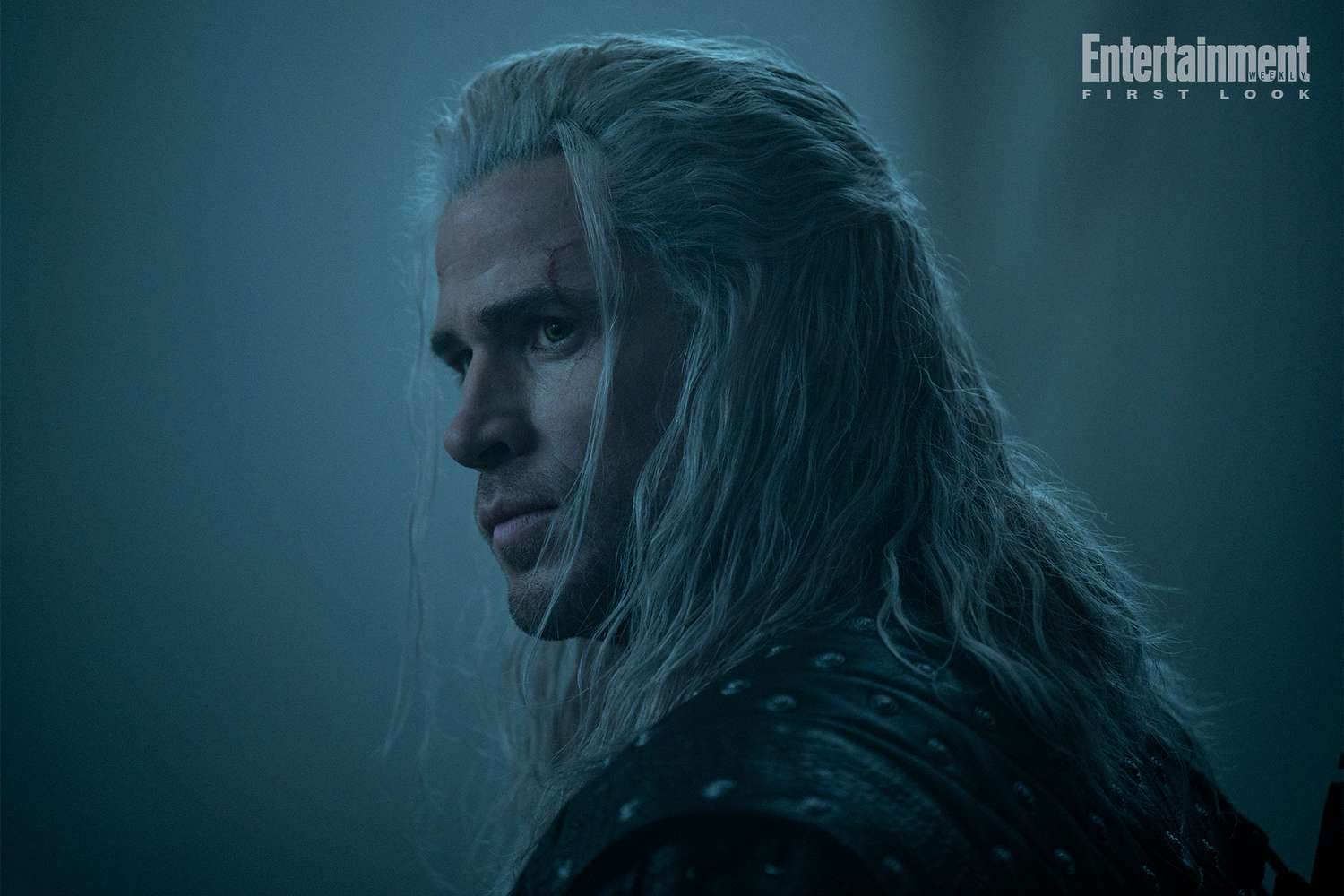 More New Cast Members Revealed for The Witcher Season 4 - Redanian ...